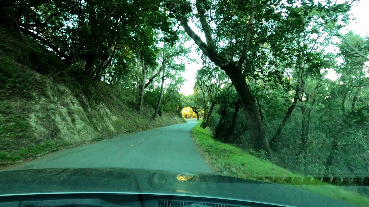 Alpine Road Drive in the Santa Cruz Mountains, California - YouTube