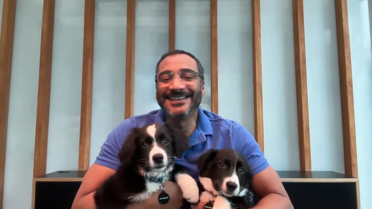 Welcome Bernie and Bolly Dogs! Puppies - YouTube