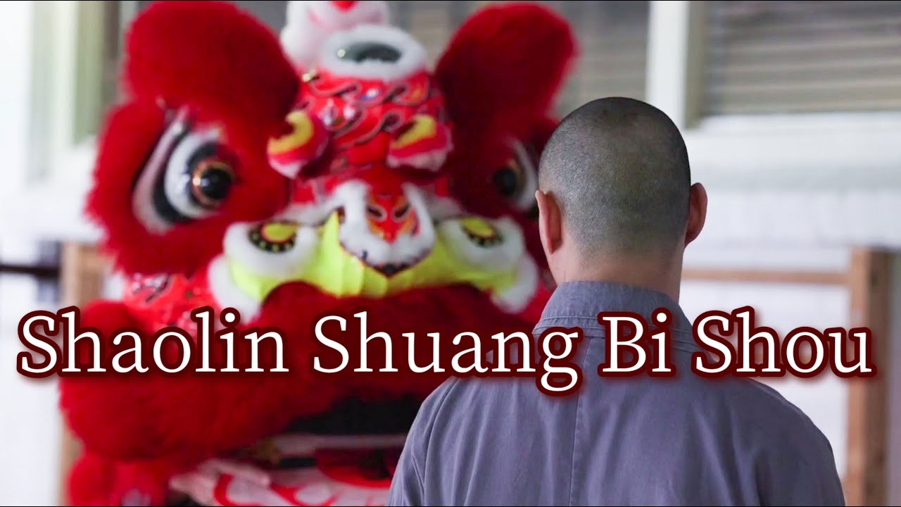 Shaolin Shuang Bi Shou | Shaolin Double Dagger - YouTube