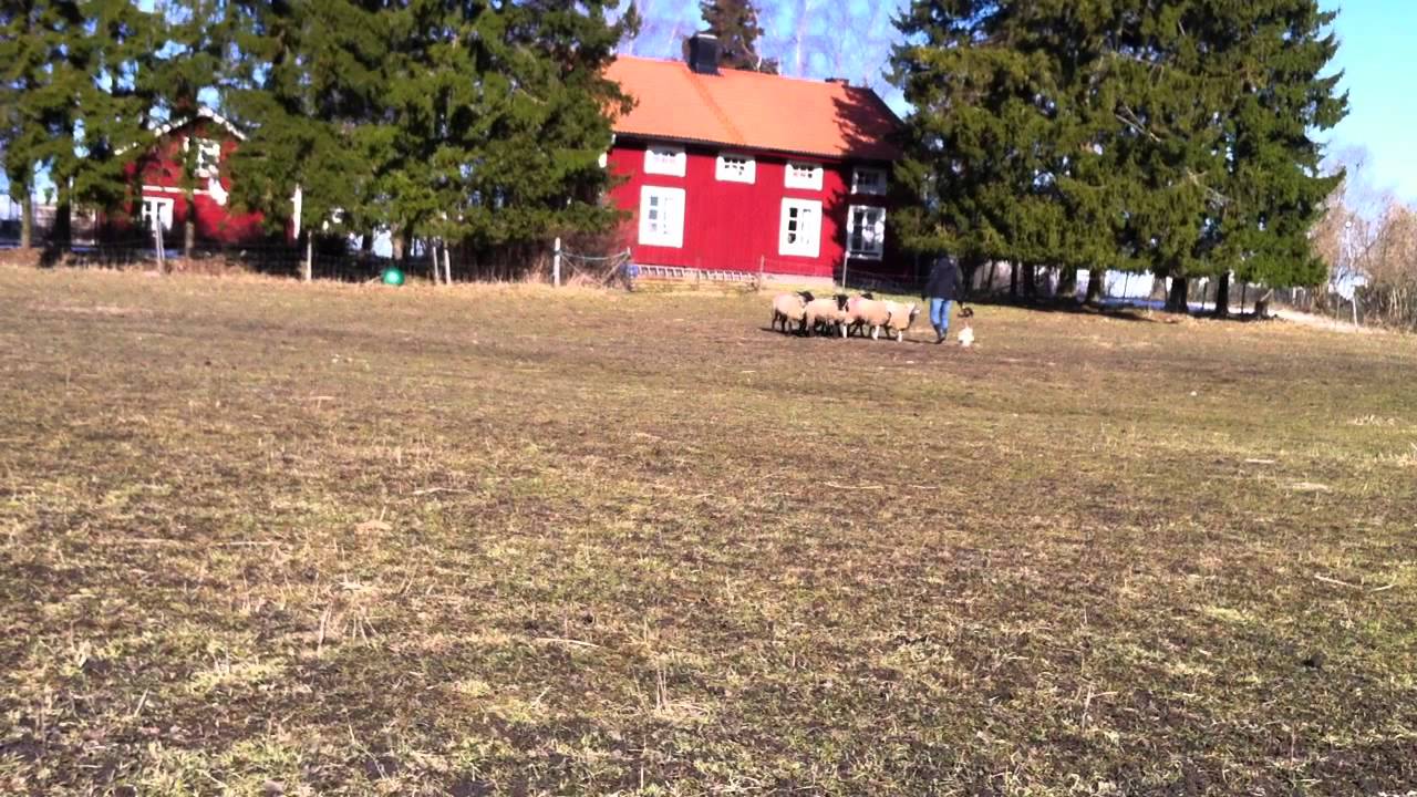 Yra och Ullis - YouTube