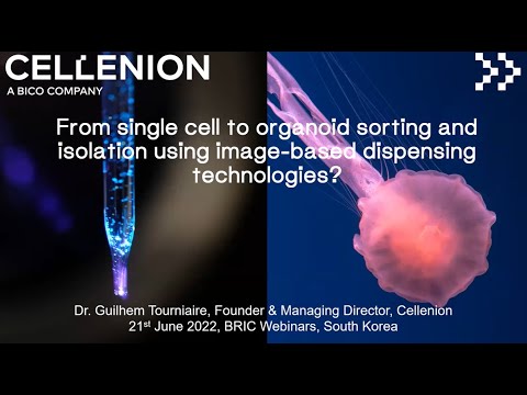 CellenONE: 단일 세포 부터 단일 오가노이드의 분류 및 분리를 위한 이미지 기반의 정밀한 분주 기술 소개 - YouTube