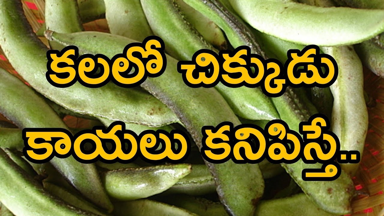 Kalalo Chikkudu Kayalu Kanipisthe | Chikkudu Kayalu kalalo Kanipisthe ...