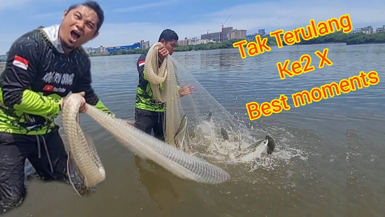 JALA IKAN Di Muara || #jalaikan #menjalaikan #netfishing #jala #menjala ...