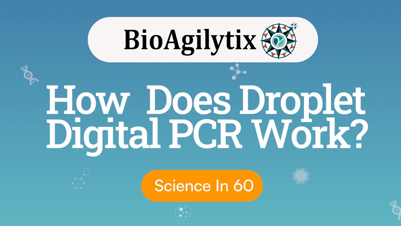 How does Droplet Digital PCR work? | Science in 60 Seconds - YouTube
