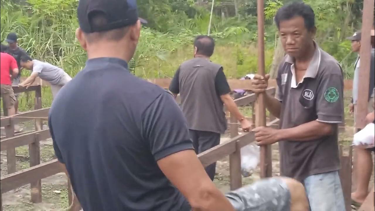 GOTONG ROYONG MEMBANGUN RUMAH - YouTube
