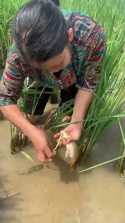 วิถีชนบทสุดอัศจรรย์ ใช้ชีวิตและทำอาหารที่บ้าน การทำอาหาร Cooking