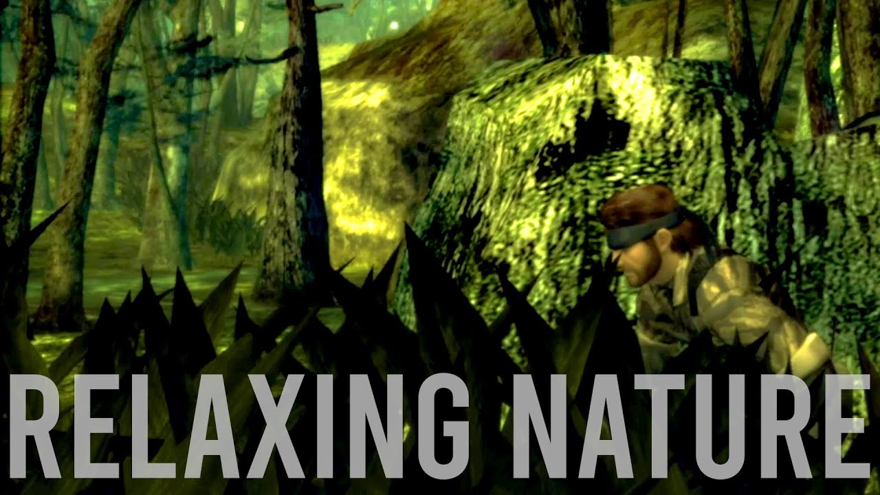 The Ends Woods | WILDLIFE Metal Gear Solid 3 Ambience - YouTube