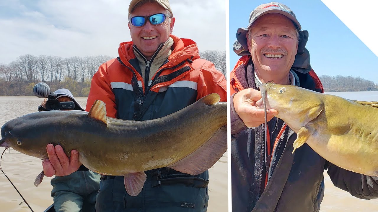 Channel Catfish - beating my personal best, TWICE with this new ...