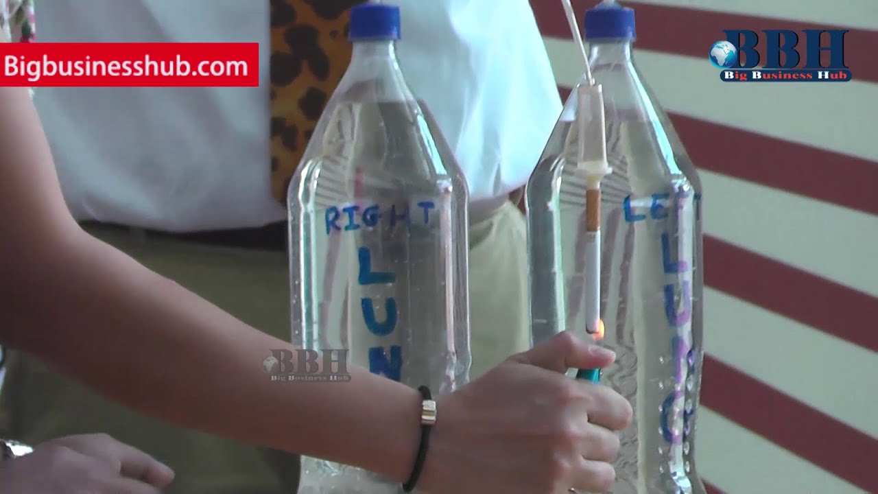 Tobacco Kills Lungs Experiment-Example - bigbusinesshub.com - YouTube