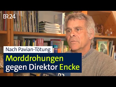 Morddrohungen und Proteste vor Nürnberger Tiergarten I BR24