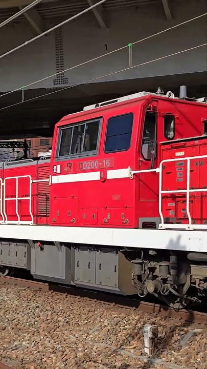 1月19日 2077レ ef66-125(吹)+dd200-16(愛)ﾑﾄﾞ+コキ？B - YouTube