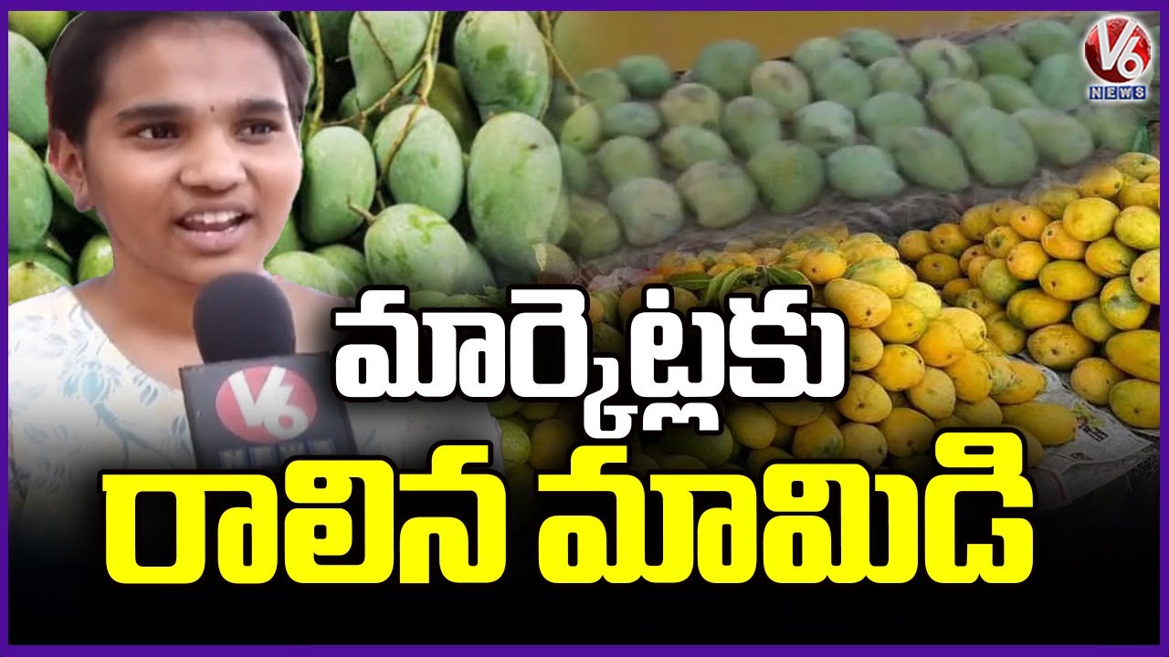 Mango Scam in City Public Claims Second-Grade Mangoes Being Sold | V6 ...