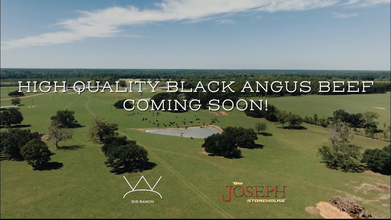 Our home grown beef coming to The Joseph Storehouse! - YouTube