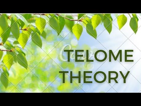 Telome theory ,🔷bsc telome theory🌿, msc telome theory🌿telome theory ...