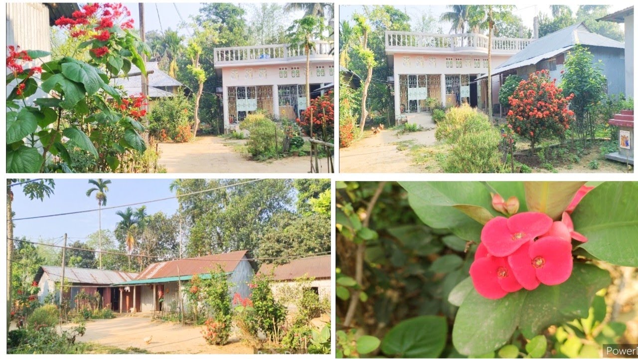 গ্রামের বাড়ি//Gramer Bari Tour //Gramer Barir poribesh//Village House ...