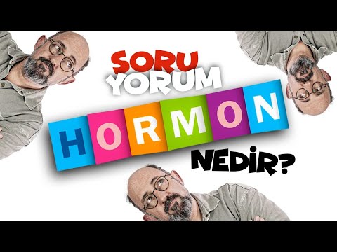 SoruYorum - Hormon Nedir? Davranışlarımızın Nedeni Midir, Sonucu Mudur?
