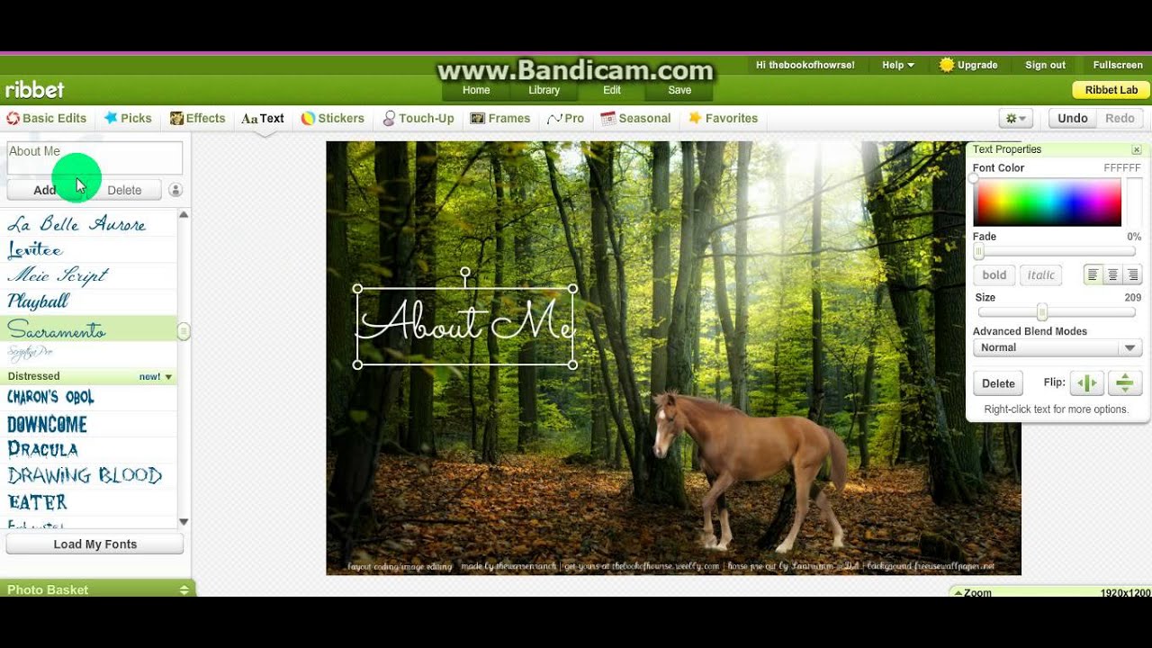 How To Make A Layout For Howrse Part 1 - YouTube