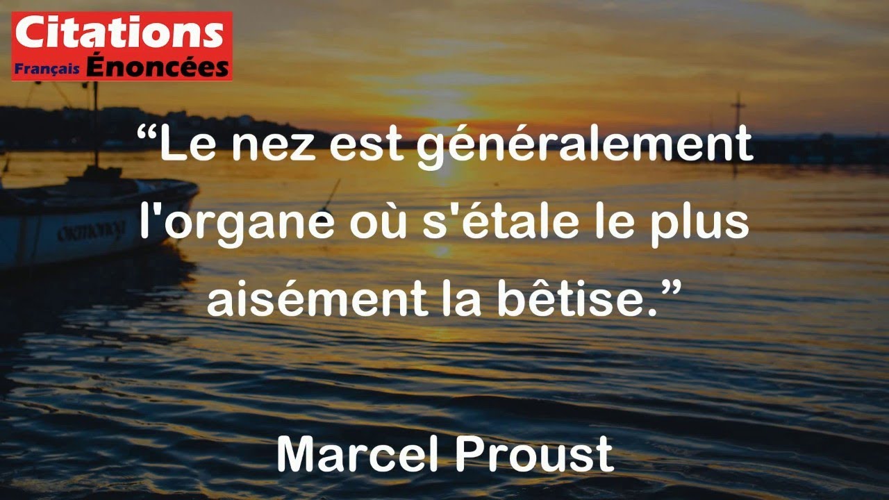 Le nez est généralement l'organe où s'étale le plus aisément la bêtise ...
