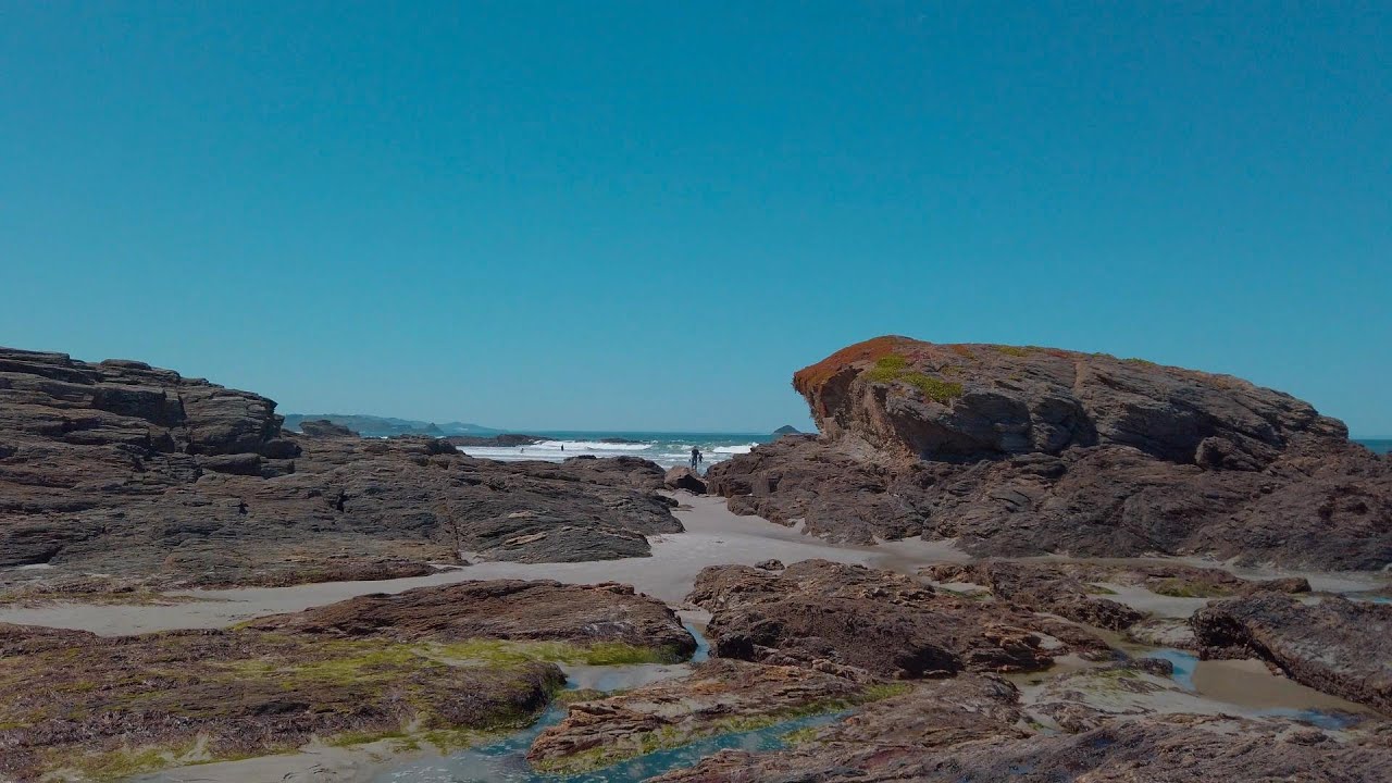 A Brighton Beach Walk 2019 (Dunedin NZ) - YouTube