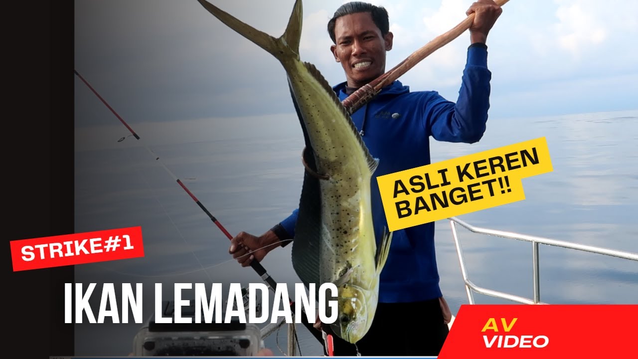 Strike Ikan Lemadang di laut Lepas Pantai Selatan (MALANG SENDANG BIRU ...