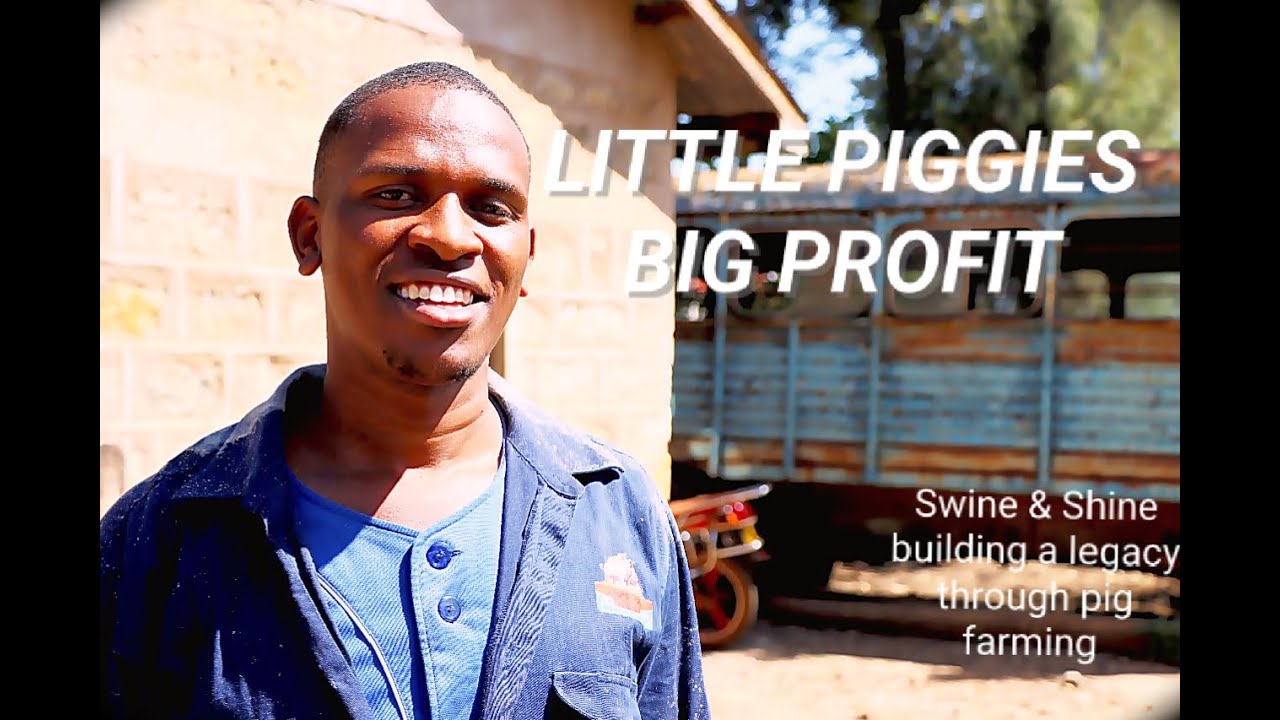Building a legacy through pig farming/ piglets to payday/ pigs into ...