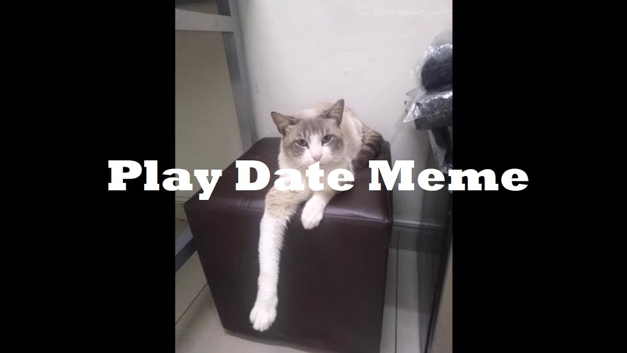 Play Date Meme - RichardPro777 - YouTube