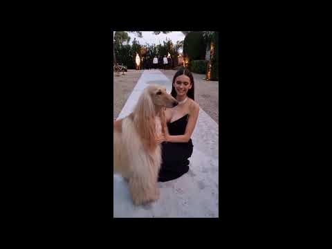 Nina Dobrev at amfAR Cannes Gala [16th July 2021]