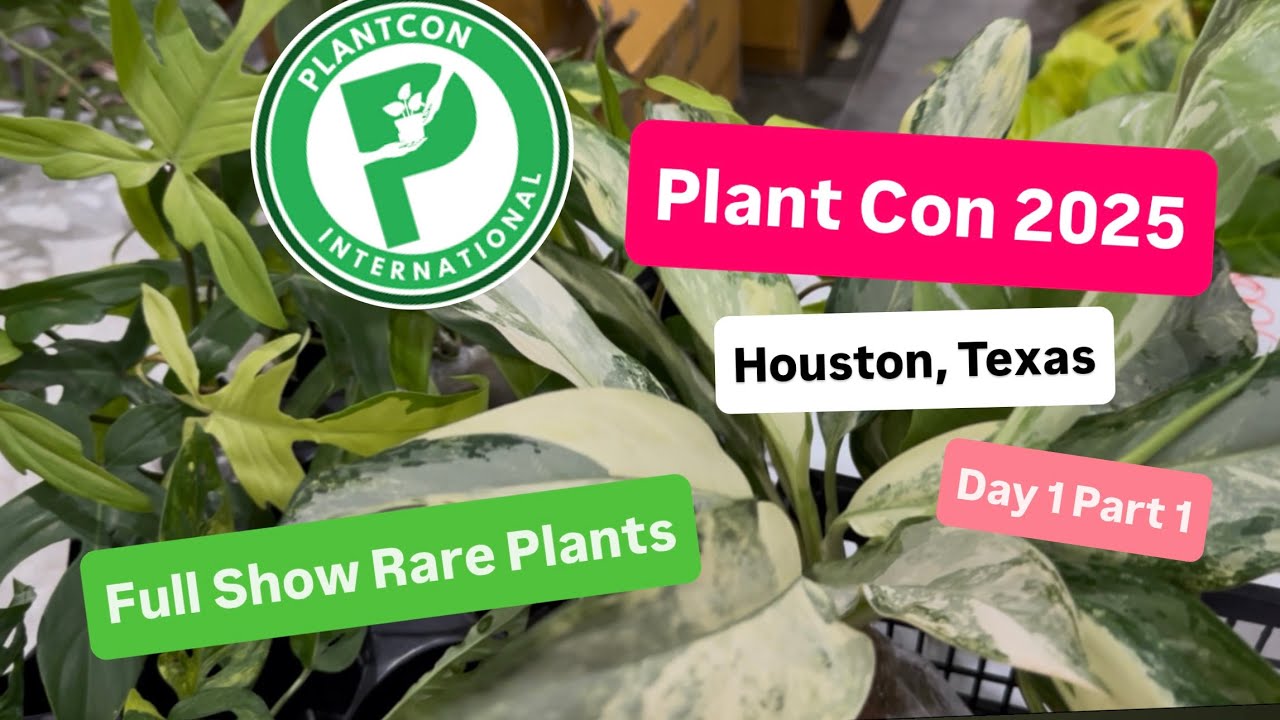 Plant Con Houston 2025 Full Show Day 1 Part 1 - YouTube