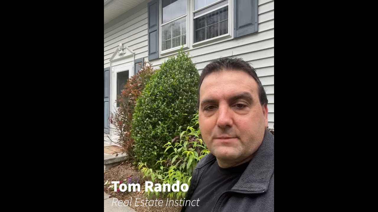 Tom Rando - Welcome to Real Estate Instinct - YouTube