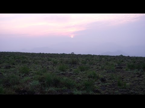 Gudisa Trekking to Sunrise View Point - YouTube
