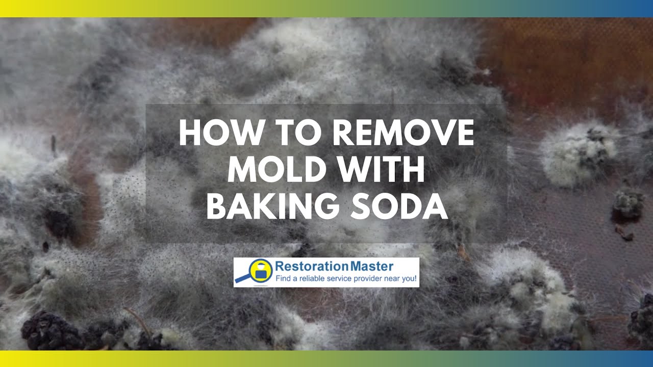 How to Remove Mold with Baking Soda - YouTube