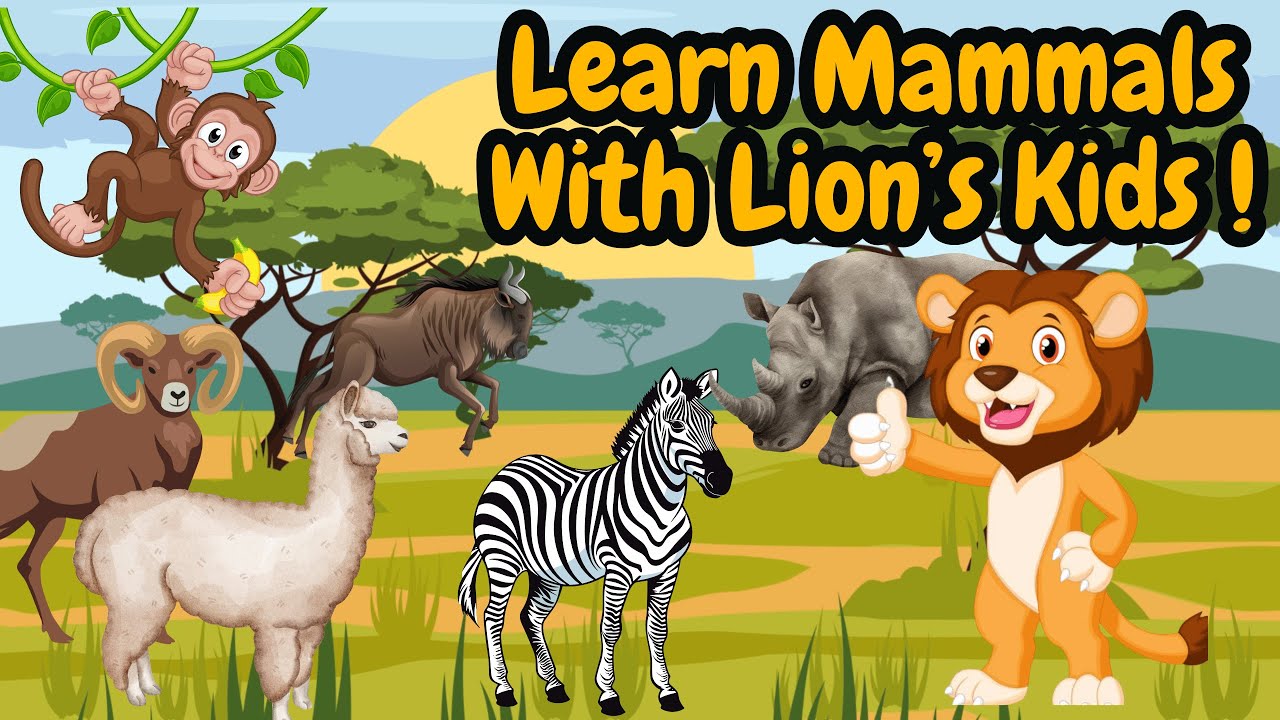 Mammals | Educational Video for Kids| Zebras, Monkeys, Lions, Rhinos ...