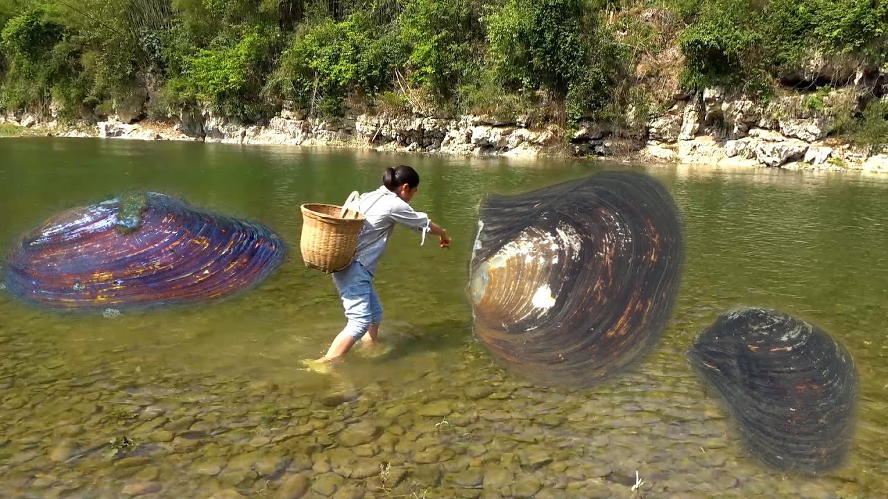 The pearl clams here are particularly large and have many beautiful ...