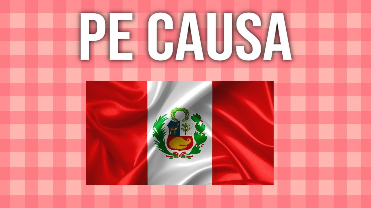 PE CAUSA - YouTube