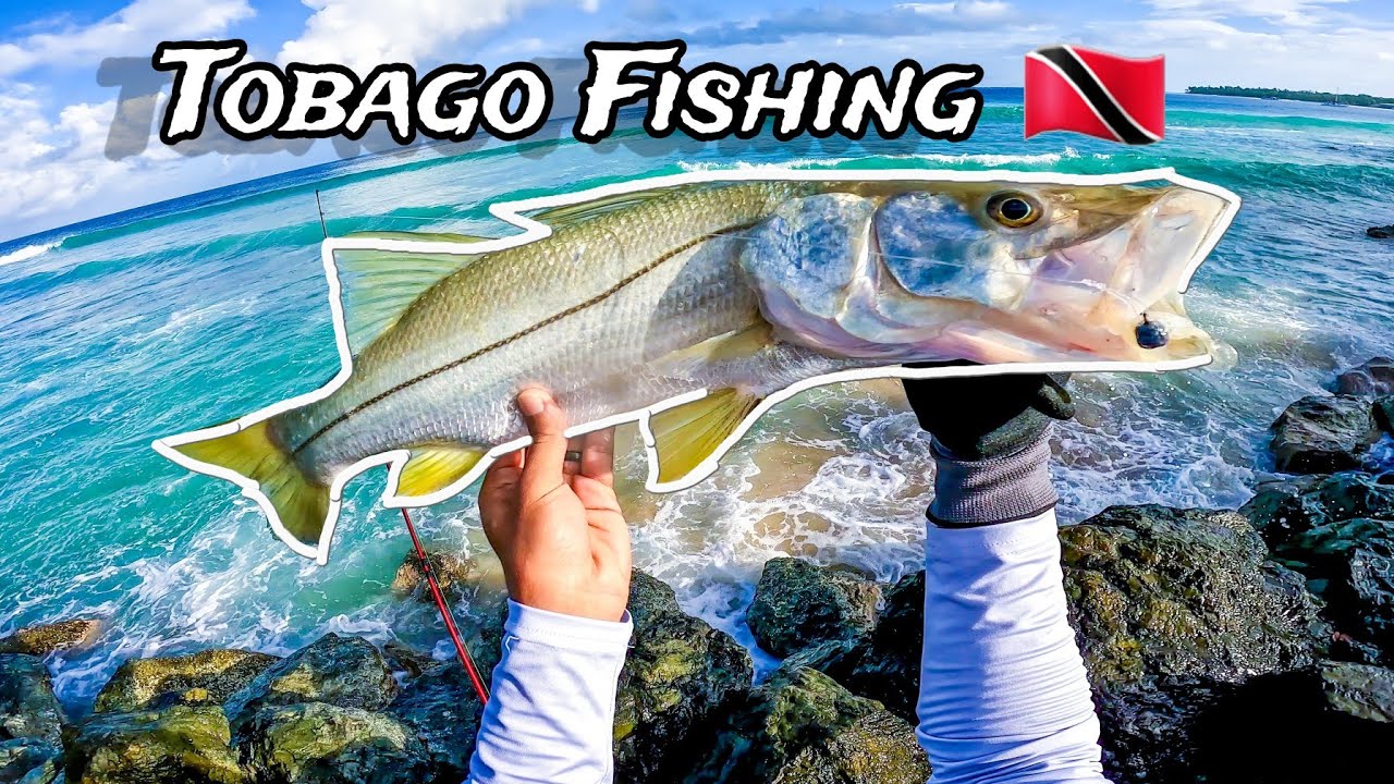 Tobago Inshore Fishing Adventure | Trinidad and Tobago Fishing 🇹🇹 - YouTube