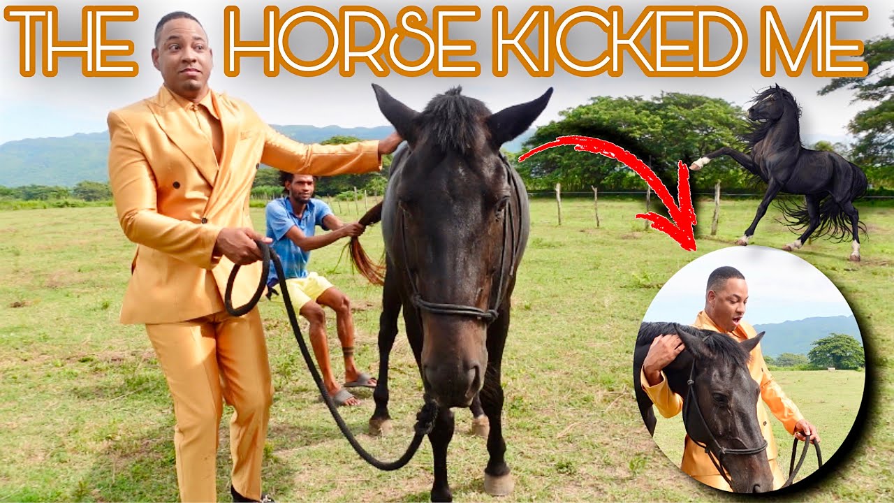 58. THIS HAPPENED AT MY BIRTHDAY PHOTOSHOOT | QUITE PERRY - YouTube