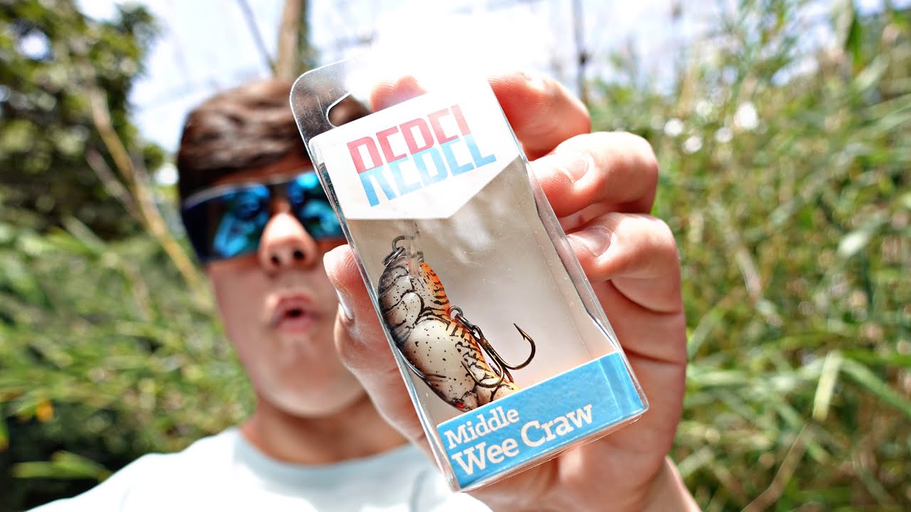 Fishing With Best Micro Fishing Lure (Rebel Crawfish) - YouTube