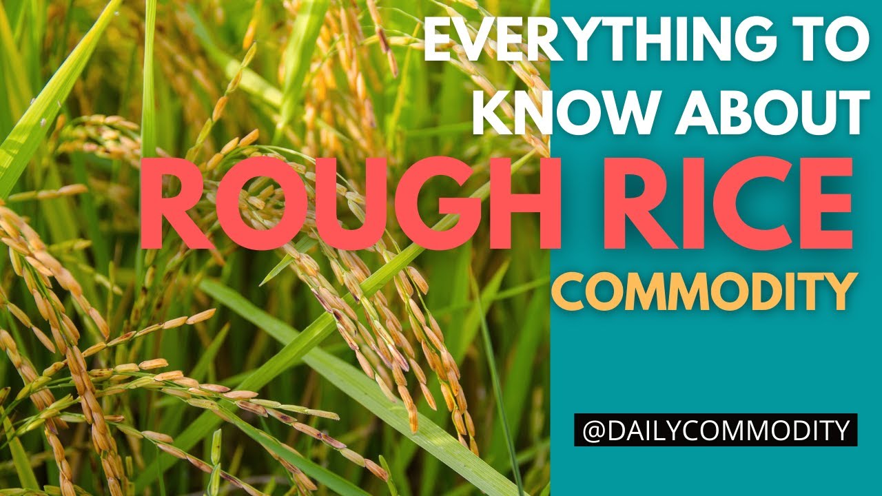 Everything to know about Rough Rice Commodity | Rough Rice Commodity ...