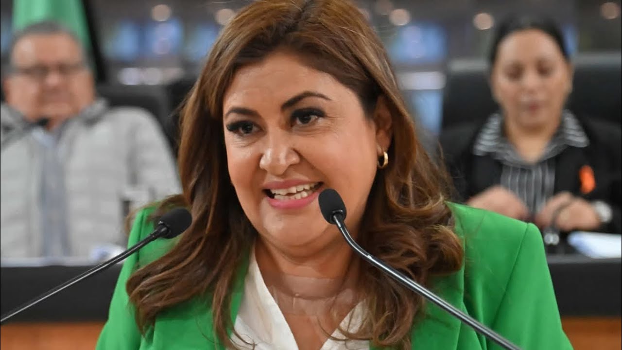 Diputada María Cristina Contreras Rebollo - YouTube