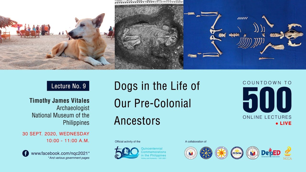 Dogs in the Lives of Our Pre-Colonial Ancestors | Countdown to 500 | 30 ...