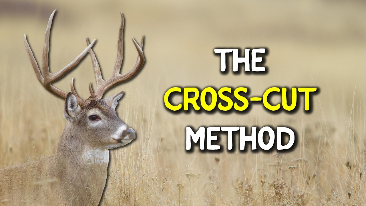 Understanding the "cross-cut" is going to help you put yourself in ...