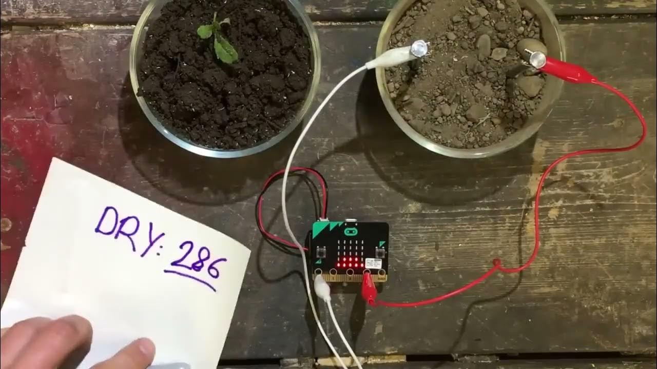 Sensor de humedad micro:bit - YouTube