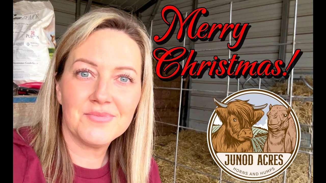 Merry Christmas from Sam and the Flock! - YouTube