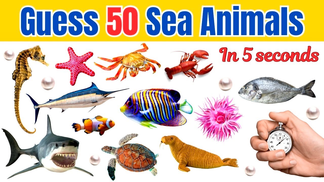 Guess the 50 Sea Animals Challenge for Kids and Toddlers | Fun Sea ...