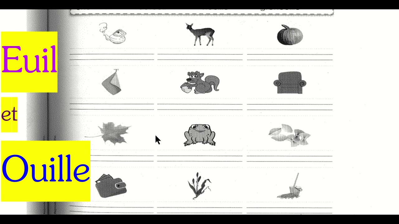 Les sons euil et ouille - YouTube