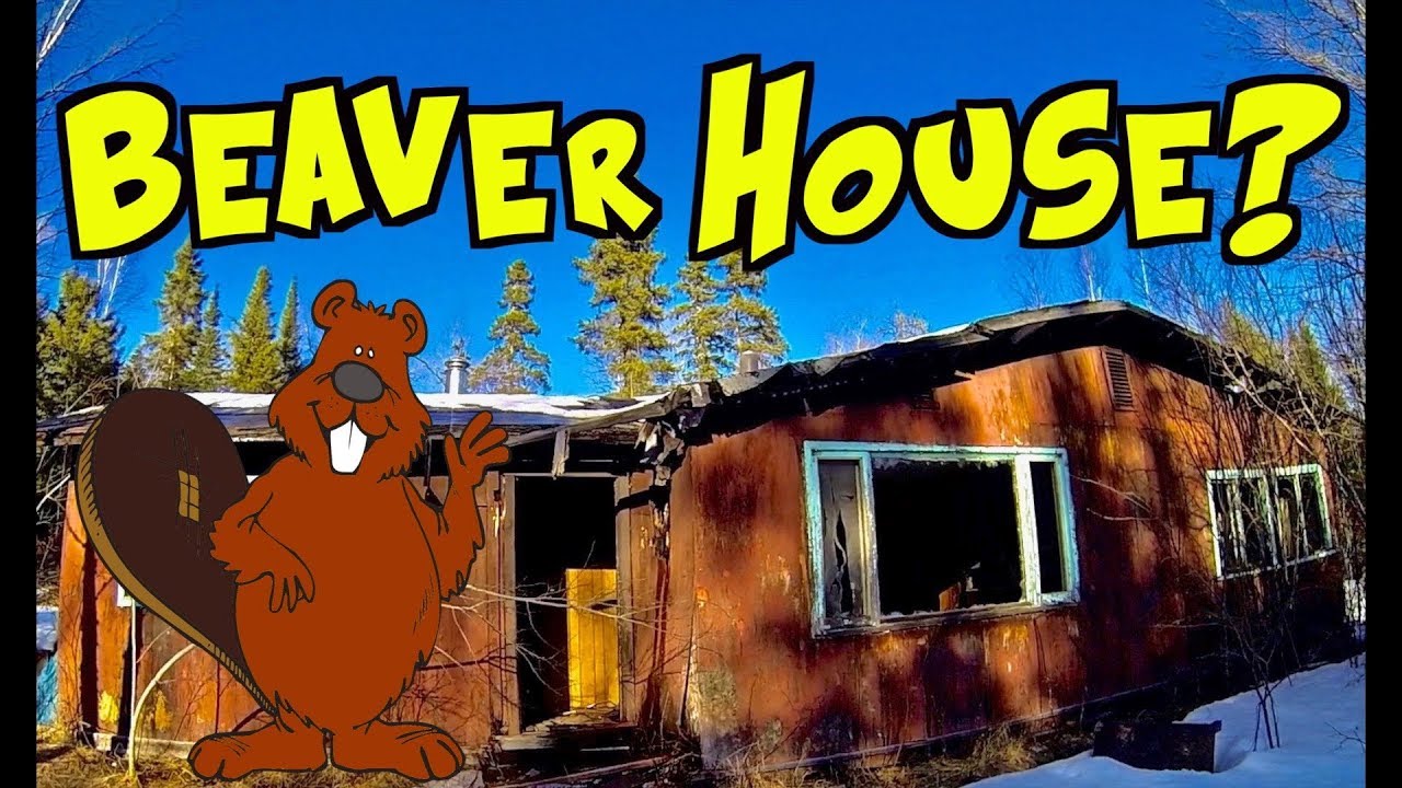 ATV Trackin' In August - Whaaattt?? - We Find The Secret Beaver ...
