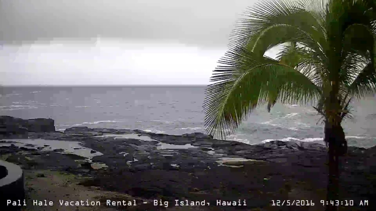 Pali Hale Live Stream from Puna Coast of Kea'au, Big Island Hawaii ...