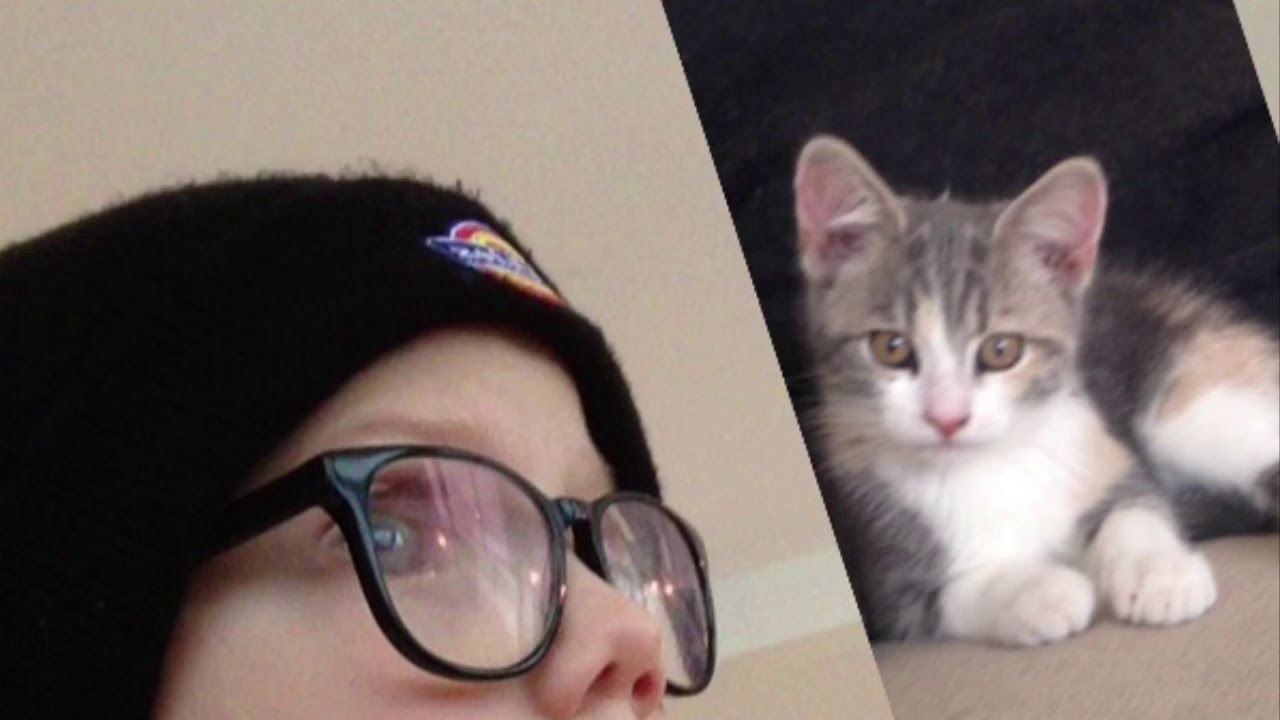 Insta Buttons - YouTube