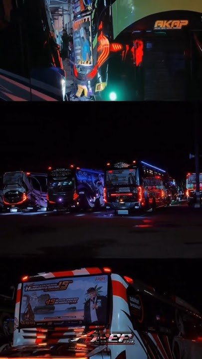 Story'WA bus PO HARYANTO mboiss 30 detik - YouTube