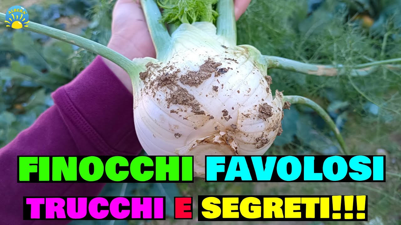 FINOCCHI Favolosi! (TUTORIAL, TRUCCHI e SEGRETI) - YouTube